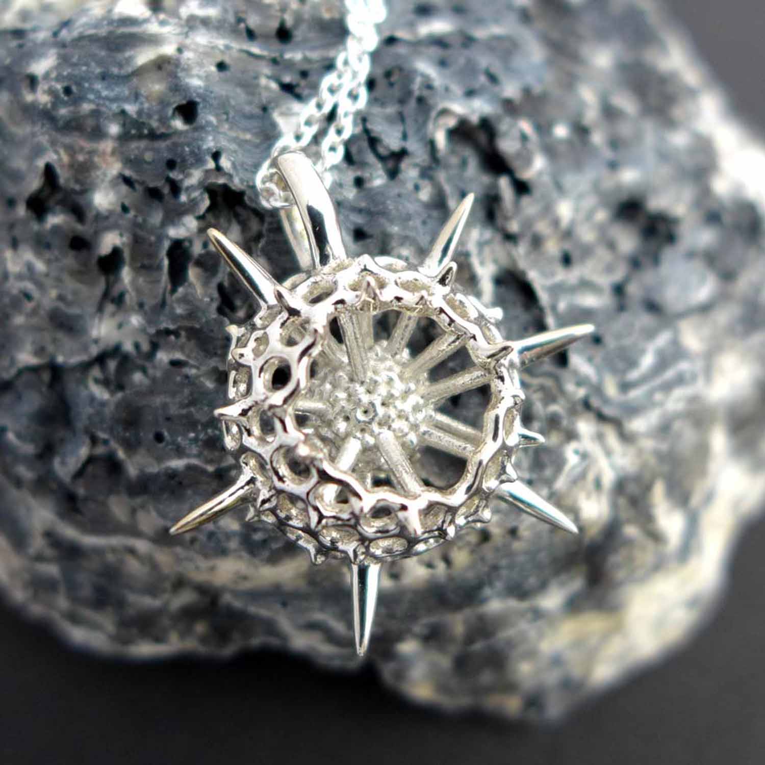 Biology Jewelry - Science Inspired Jewelry - Ontogenie