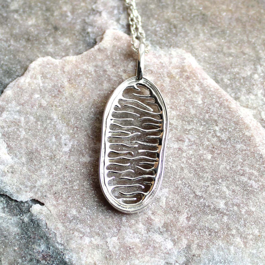 Biology Jewelry - Science Inspired Jewelry - Ontogenie