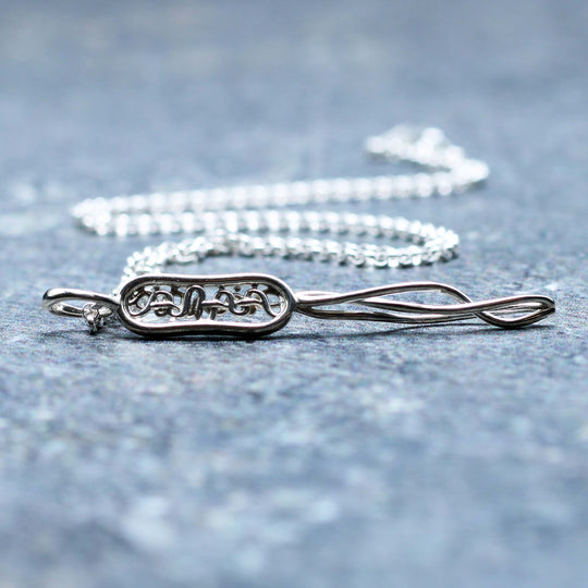 Biology Jewelry - Science Inspired Jewelry - Ontogenie