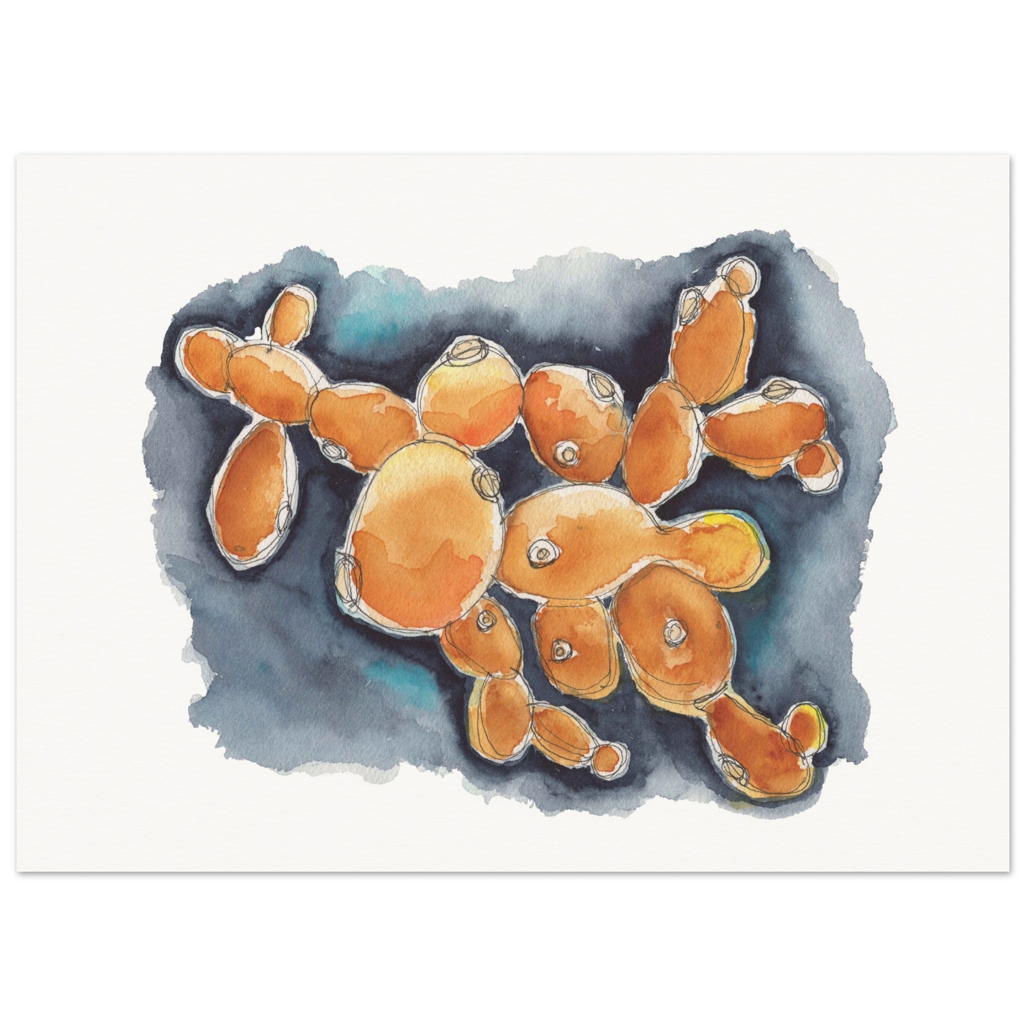 Budding Yeast Poster | Science Art Print – Ontogenie