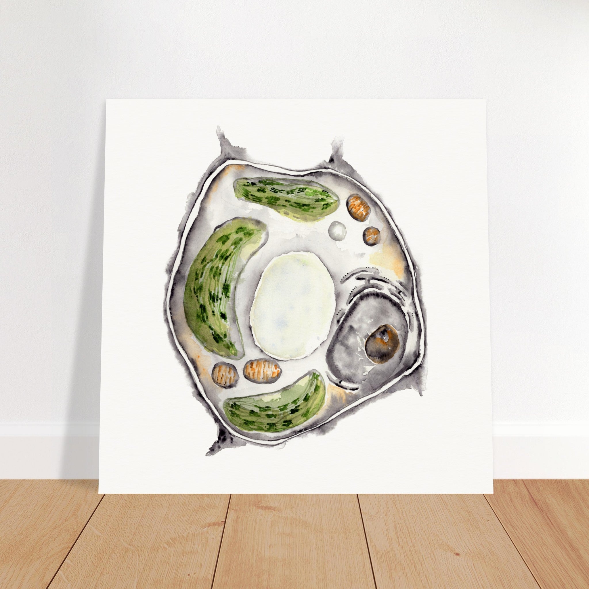 Plant Cell Art Print – Ontogenie
