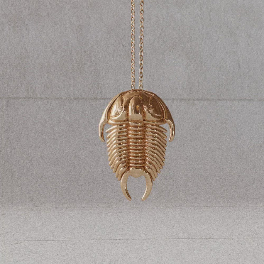 Trilobite 'Tricrepicephalus' Pendant - Paleontology Jewelry