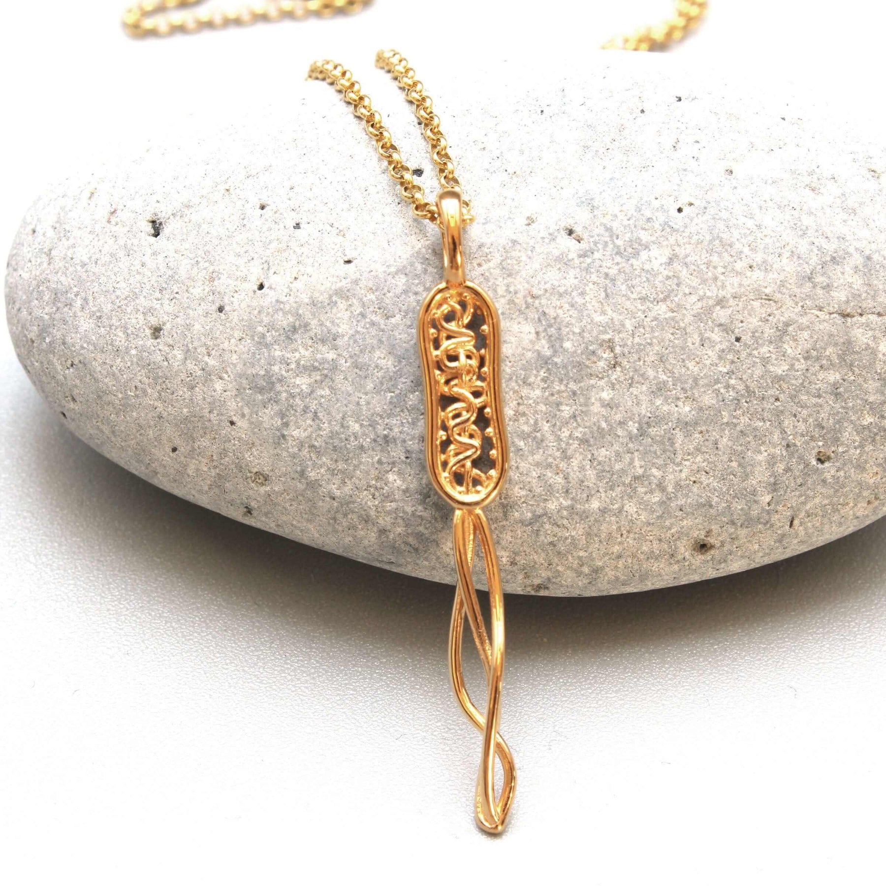 Bacterial Cell Pendant - Cell Biology Jewelry - Science Inspired ...