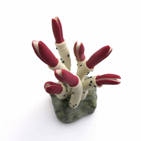 Riftia Tube Worm Sculpture - Science Model - Marine Biology